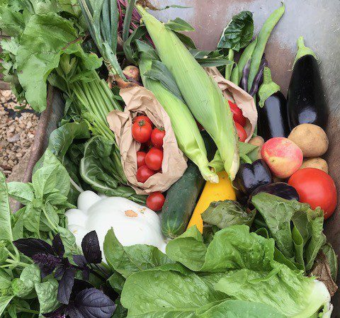 COVID-19 and Our Organic Veg Box Scheme - Coleshill Organics